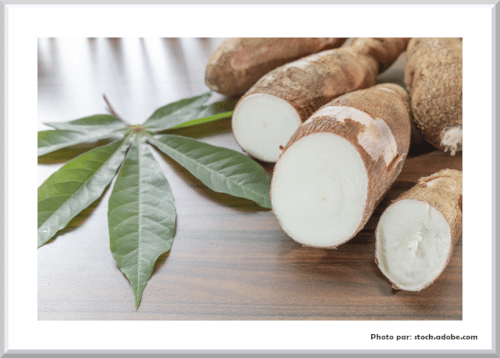 Différences entre la farine de manioc et la fécule tapioca - Recettes ...